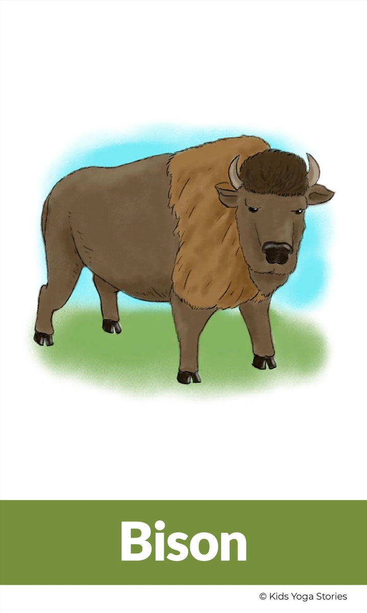 Prairie Grasslands Yoga Cards for Kids – Kids Yoga Stories