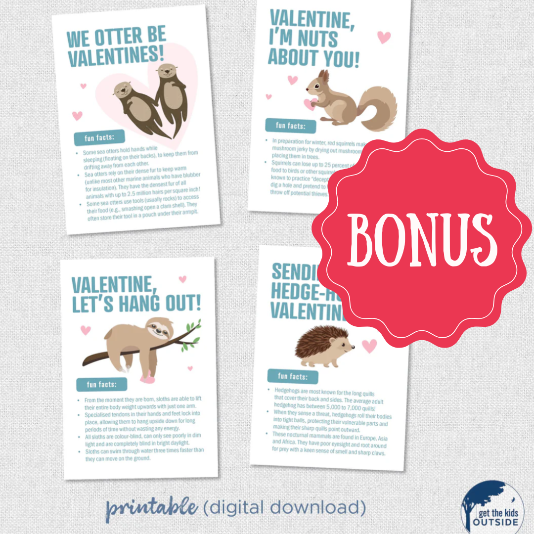 Valentine Bundle – Kids Yoga Stories