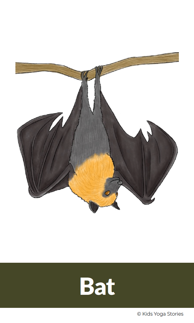 Hibernating Animals Yoga Cards for Kids – Kids Yoga Stories